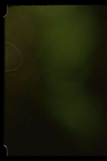 Summer Light For Tula - Movie | Moviefone