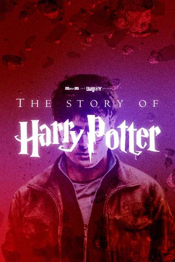 The Story of Harry Potter Seasons | Moviefone