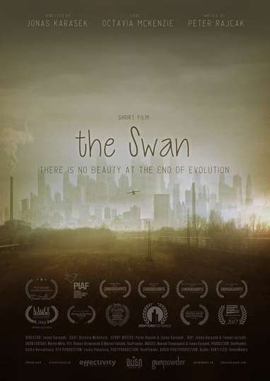 The Swan - Movie | Moviefone