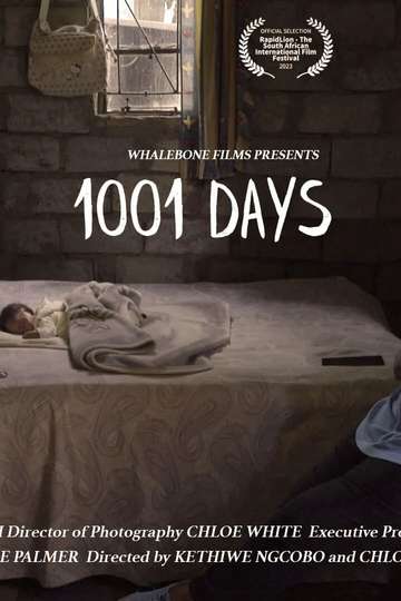 1001 Days - Movie | Moviefone