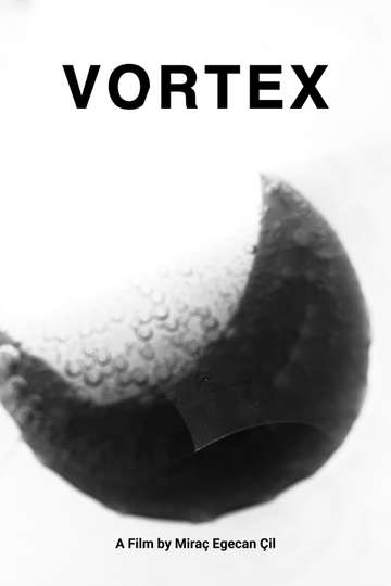 Vortex - Movie | Moviefone