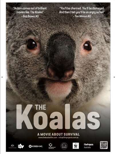 The Koalas - Movie | Moviefone