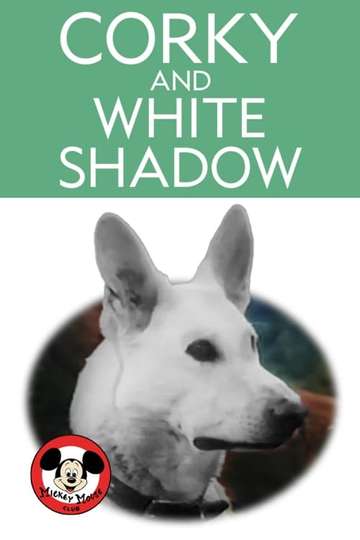 Corky and White Shadow - TV Show | Moviefone