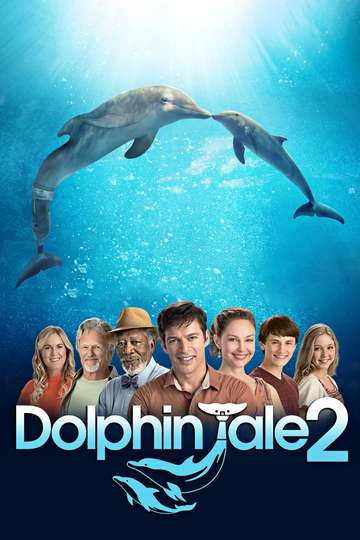 Dolphin Tale (2011) - Movie | Moviefone