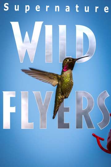 SuperNature - Wild Flyers Seasons | Moviefone