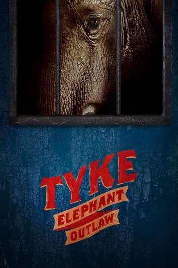Tyke Elephant Outlaw Stream and Watch Online | Moviefone