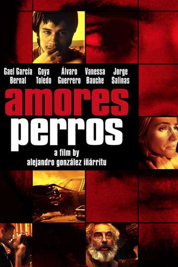 Amores Perros (2001) - Stream and Watch Online | Moviefone