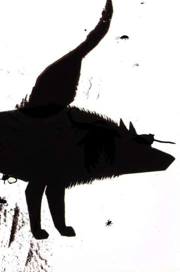 From Under Which Rock Did They Crawl Out - Movie | Moviefone