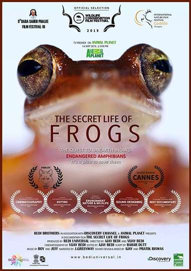 The Secret Life of Frogs - Movie | Moviefone