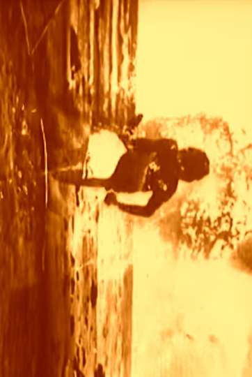 Lament - Movie | Moviefone