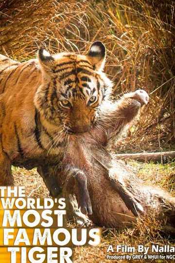 The World's Most Famous Tiger - Movie | Moviefone